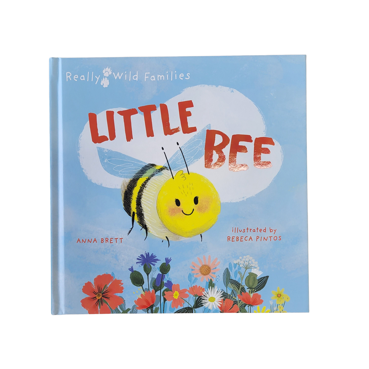 Little Bee Kids Book – Foxhound Bee Company