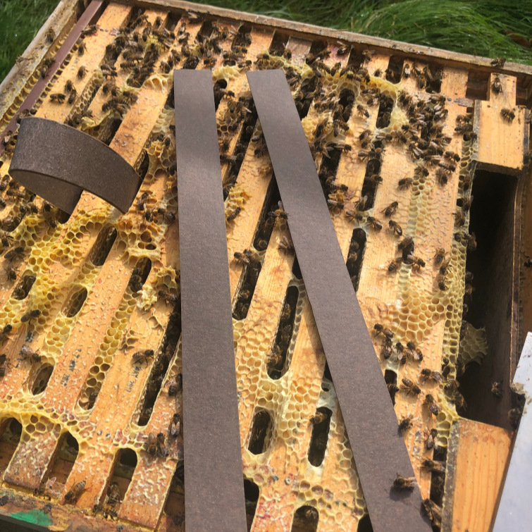 Varroxsan | Beesource Beekeeping Forums