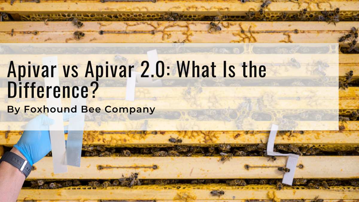 Apivar vs Apivar 2.0: What Is the Difference? – Foxhound Bee Company