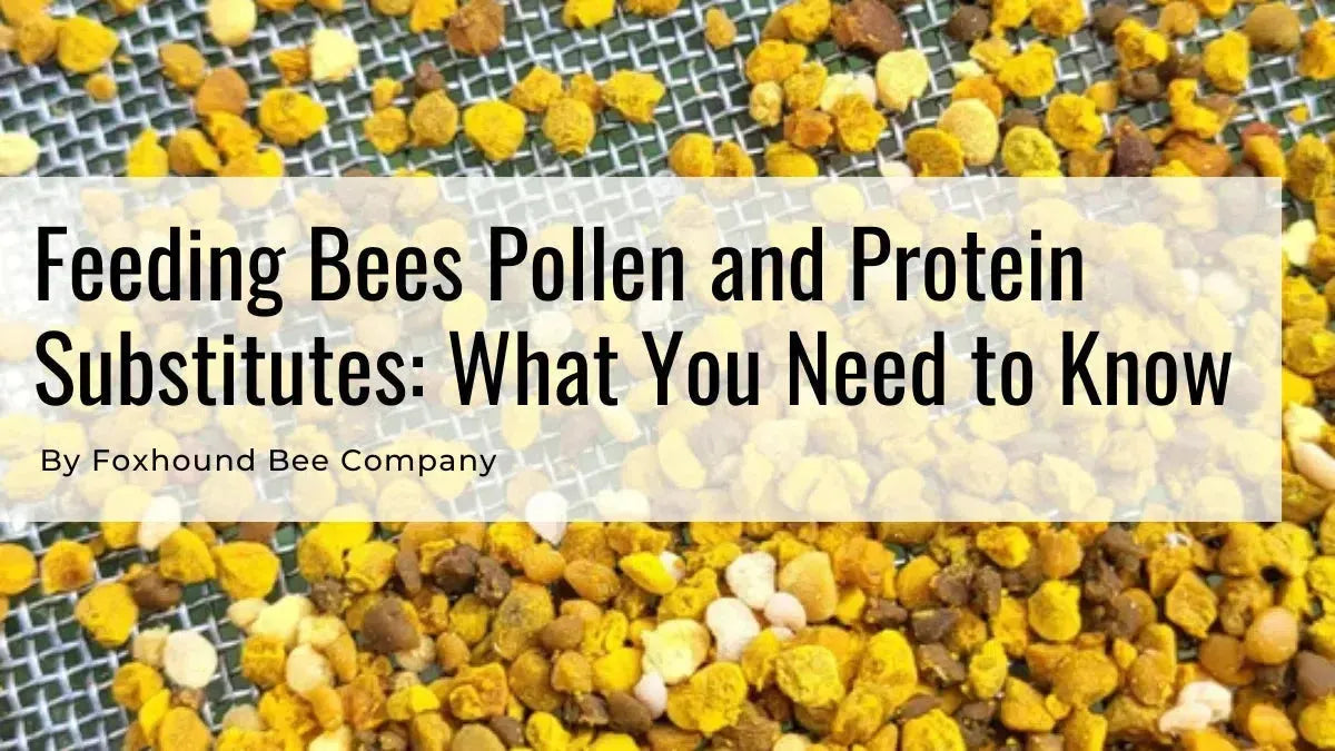 Feeding Bees Pollen and Protein Substitutes: What You Need to Know ...