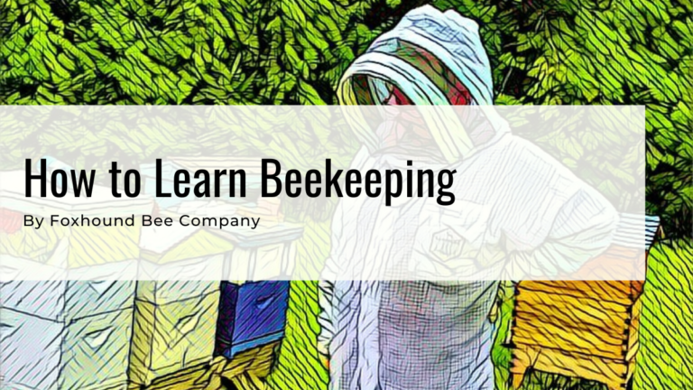 Master Guide - How To Learn Beekeeping? - Foxhound Bee Company