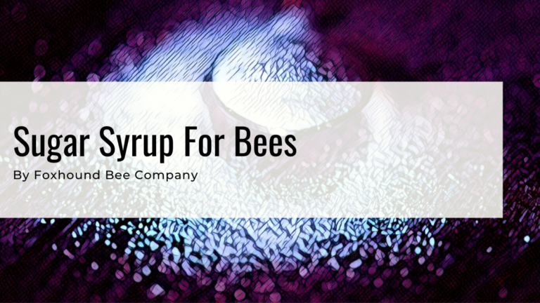 Sugar Syrup for Bees - Foxhound Bee Company