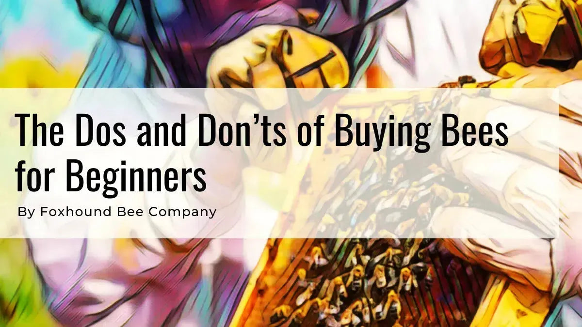 The Dos and Dont's of Buying Bees for Beginners – Foxhound Bee Company
