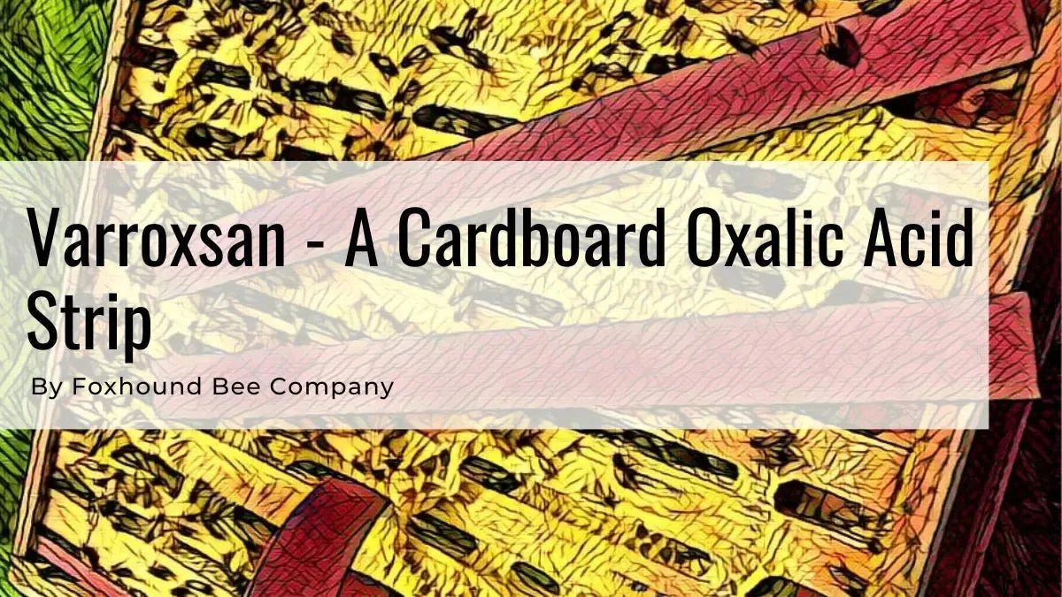 Varroxsan - A Cardboard Oxalic Acid Strip - Foxhound Bee Company