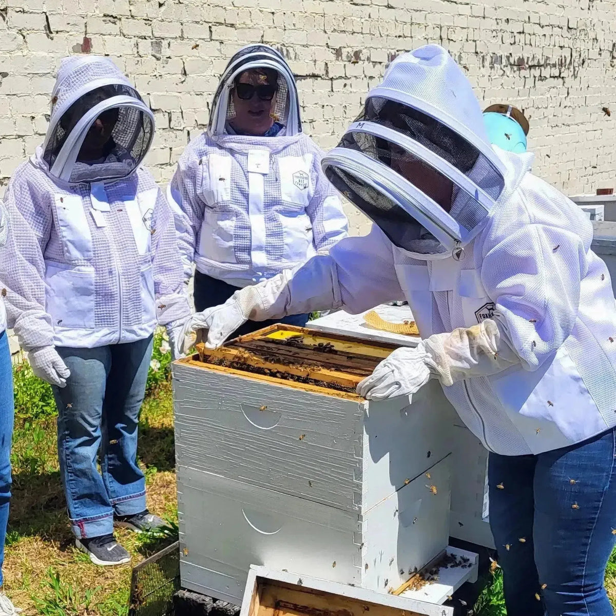 In-Person Beekeeping Classes – Foxhound Bee Company