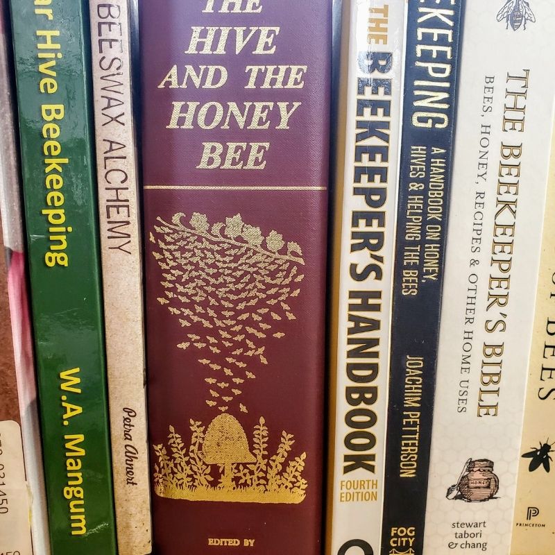 Master Guide - How To Learn Beekeeping? - Foxhound Bee Company