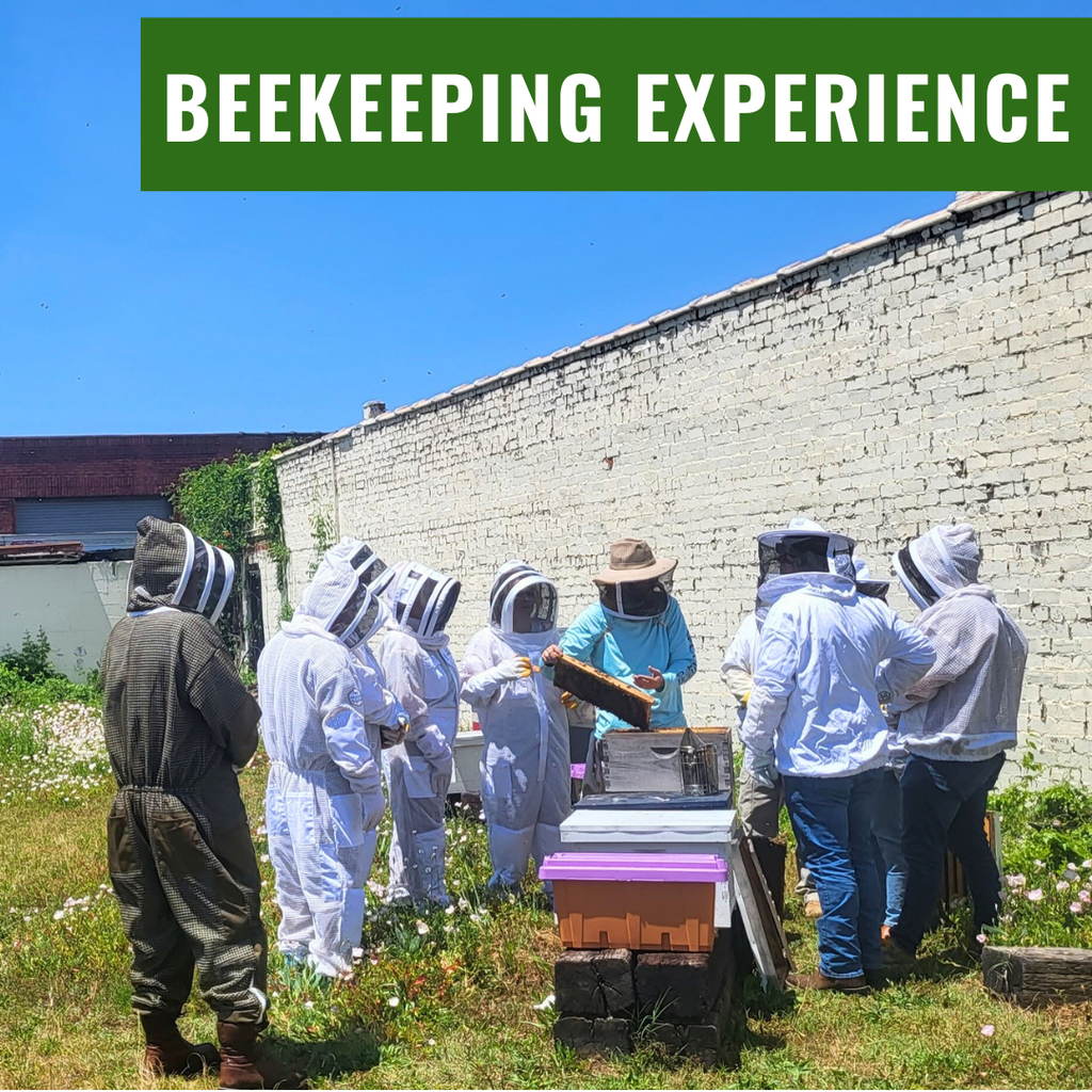 In-Person Beekeeping Classes – Foxhound Bee Company