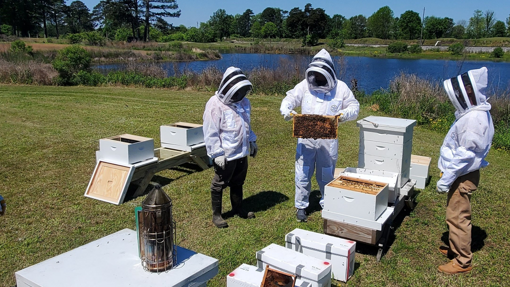 Foxhound Bee Company