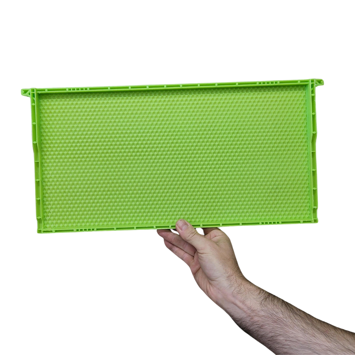 Drone Brood Frame – Foxhound Bee Company