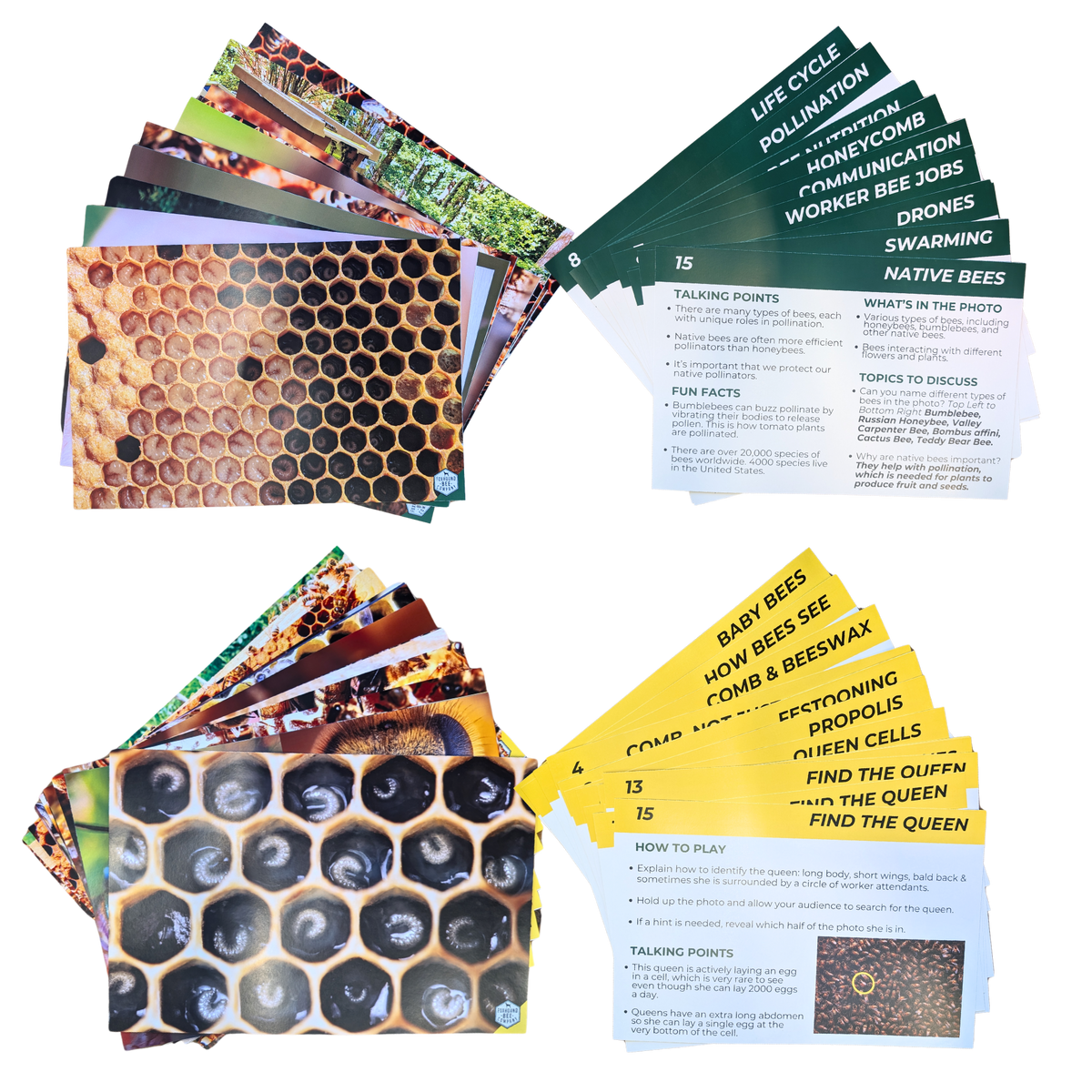 Educational Beekeeping Cards – Foxhound Bee Company