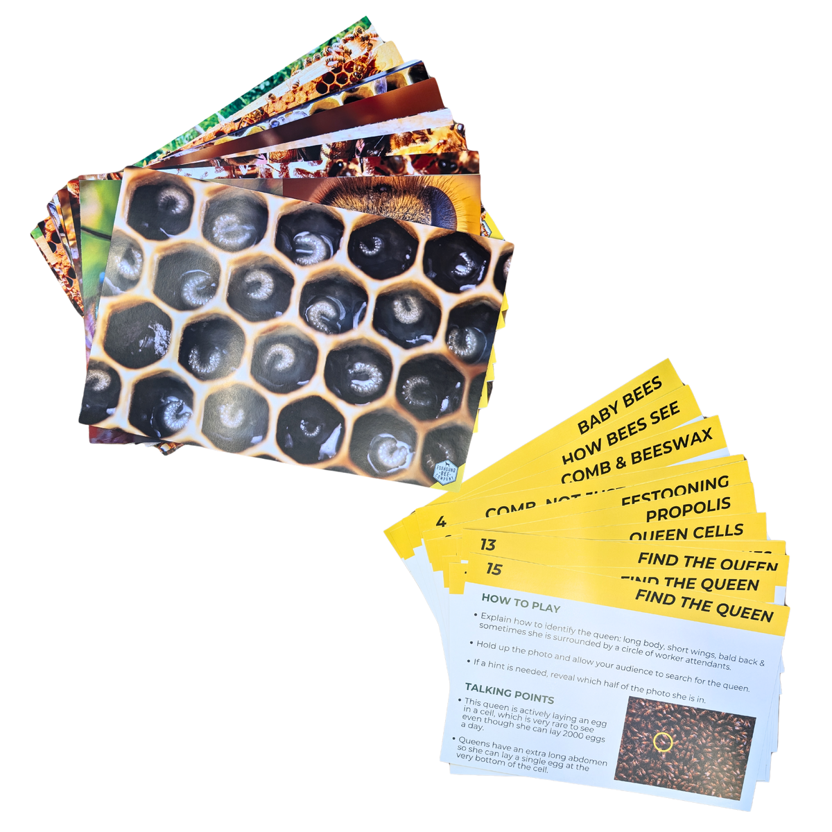 Educational Beekeeping Cards – Foxhound Bee Company