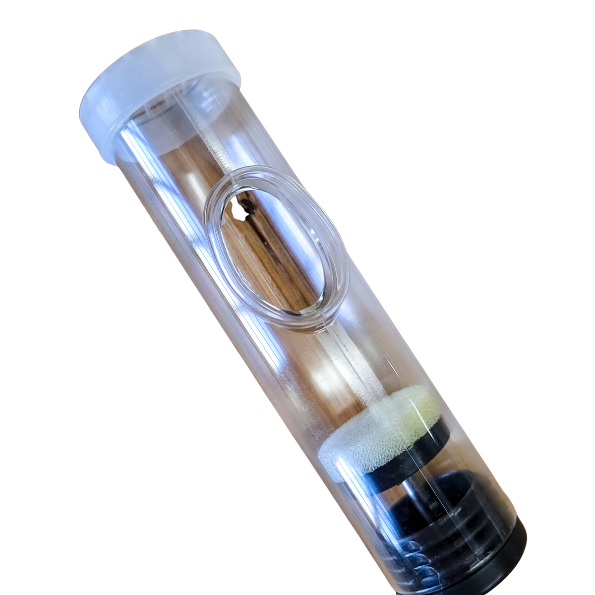 Long Queen Marking Tube – Foxhound Bee Company