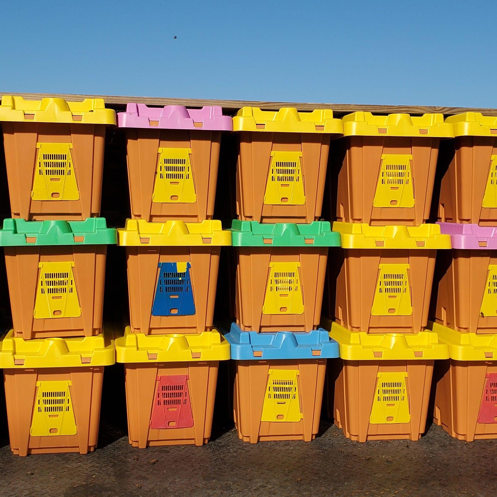 Pro-Nuc - 5 Frame Deep, Plastic Nucleus Hive – Foxhound Bee Company